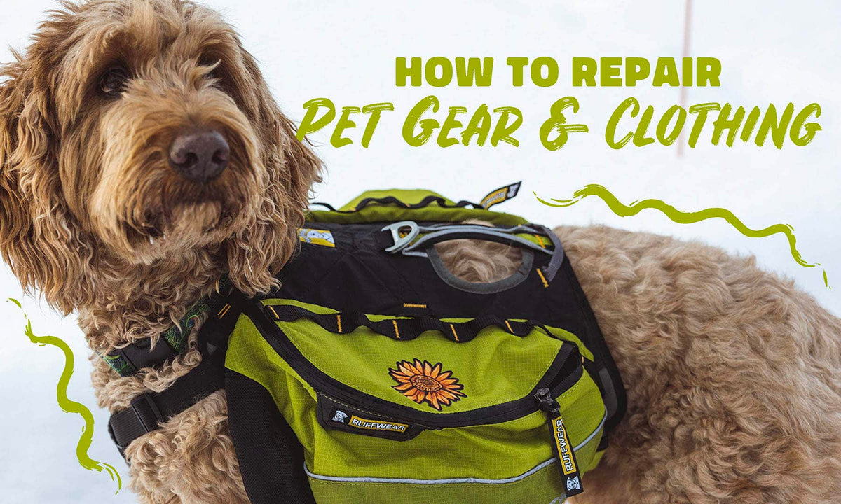 How to Repair Pet Gear & Clothing – NoSo Patches