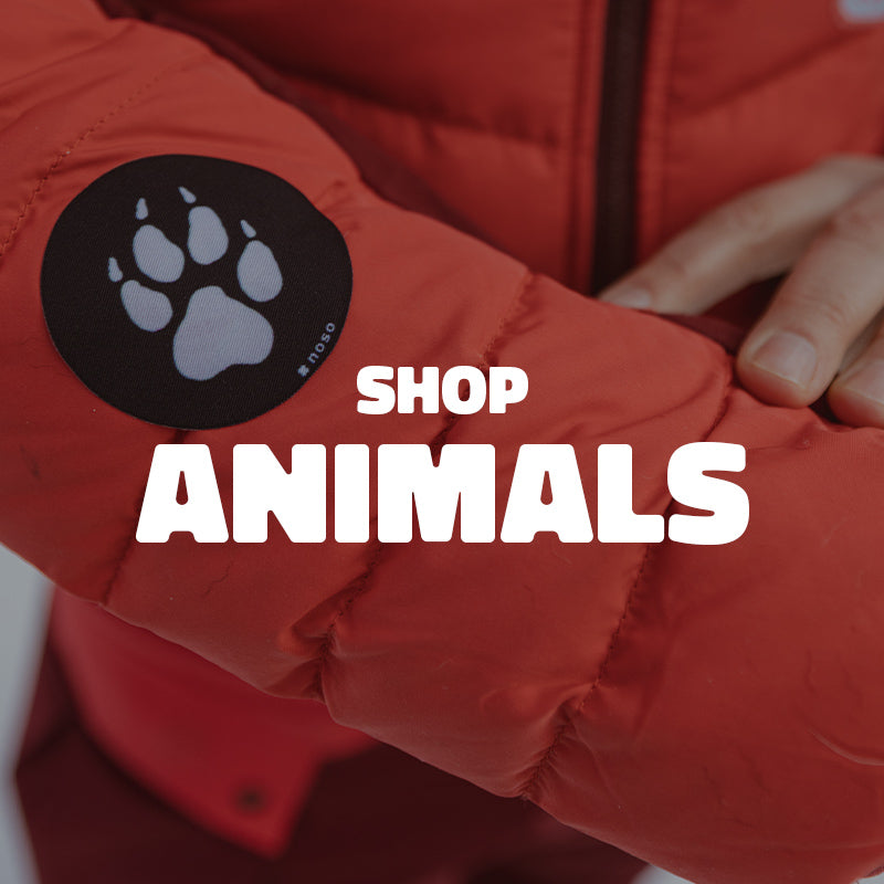 Collections – NoSo Patches